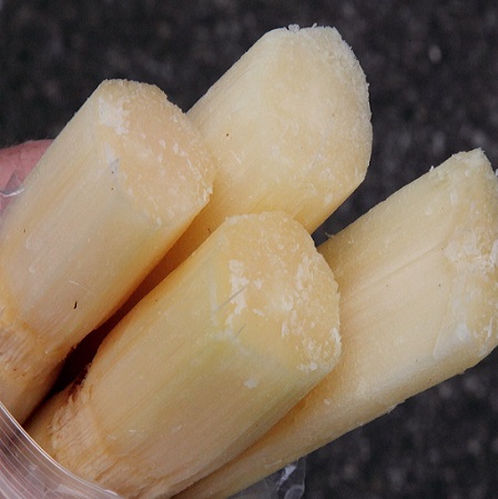 Sugar Cane Sticks-1lb
